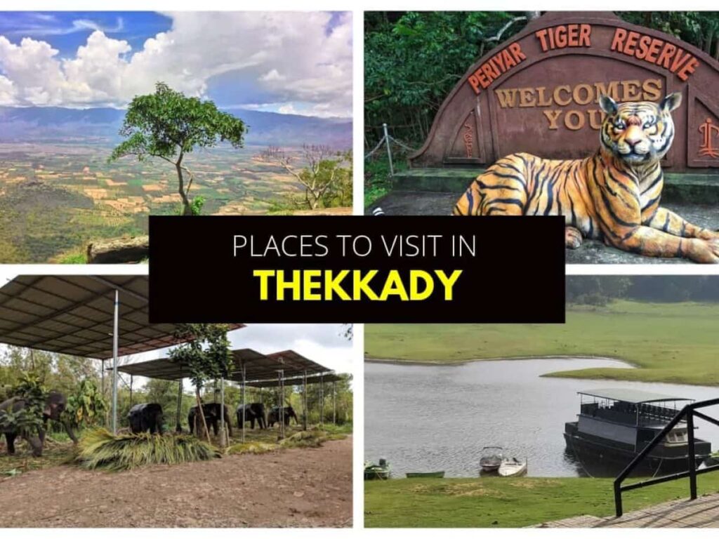 Discover the Untamed Beauty of Thekkady: A Memorable Holiday in Kerala ...
